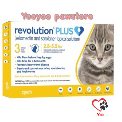 Jual Revolution plus gold kitten cat - Jakarta Barat - yooyoo.pawstore ...