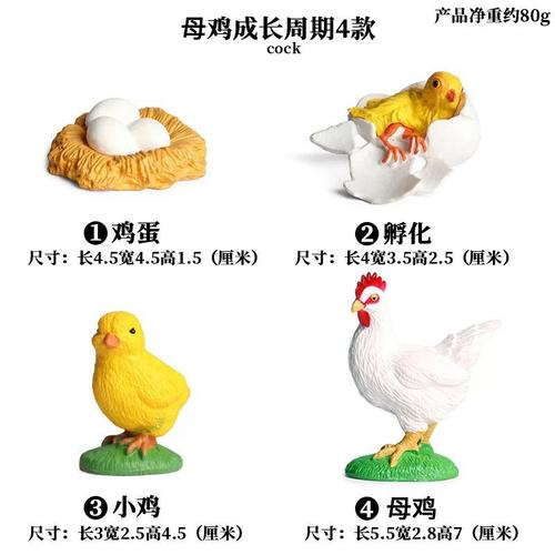 Jual Life Cycle of Animal Part 1 - Lucanidae - Jakarta Utara ...