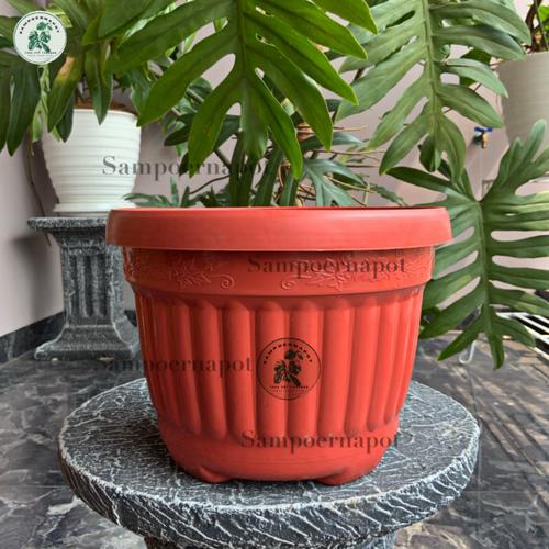 Jual Pot bunga tanaman nkh merah bata 20cm - NKH MERAH BATA - Kota ...