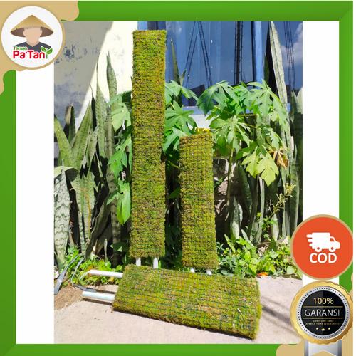 Jual Dobel Turus Lumut Papan 100 cm - Kab. Cianjur - tokodesa_id ...