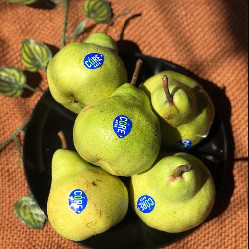 Jual MANGANOBUAH - PEAR JAMBU PACKHAM 1KG - Kota Surabaya - Manganobuah ...