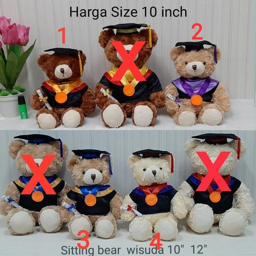 Jual Boneka Toga Wisuda Graduation Kado Wisuda Boneka Teddy Bear Wisuda ...