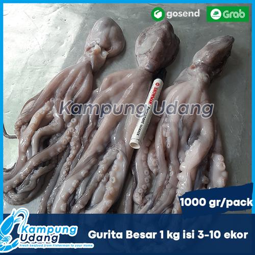 Jual Giant Octopus 1kg / Baby Gurita Besar / Baby Octopus Frozen 1 kg 3 ...
