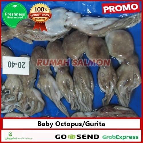 Jual Baby Gurita Segar-Beku 1 kg / baby gurita / baby octopus Frozen ...