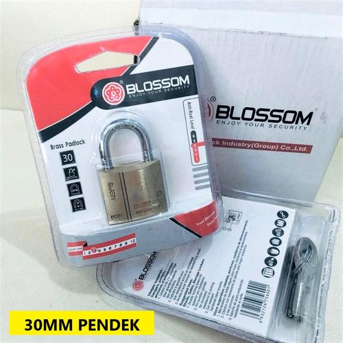 Jual GEMBOK KUNING BLOSSOM 30MM PENDEK - Kota Mojokerto - Toko SARI ...