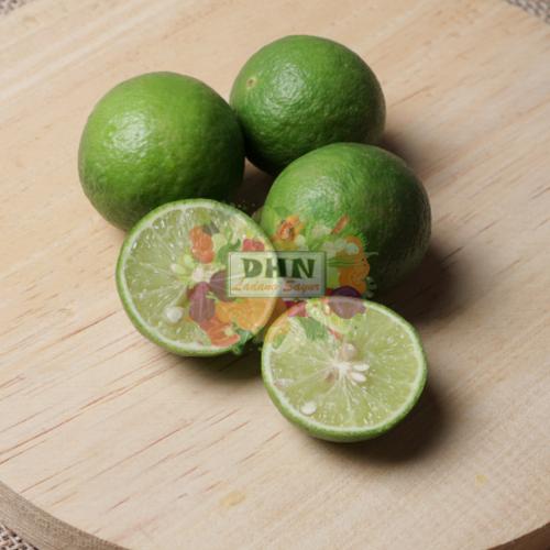 Jual Jeruk Nipis - 1/4 kg - Jakarta Barat - Ladang Sayur DHN | Tokopedia