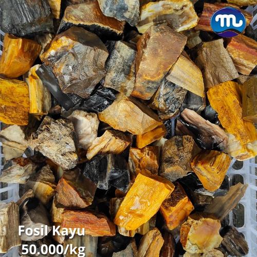 Jual Batu Mentah Fosil Kayu - Bongkahan Petrified Wood Per kilo - Kota ...