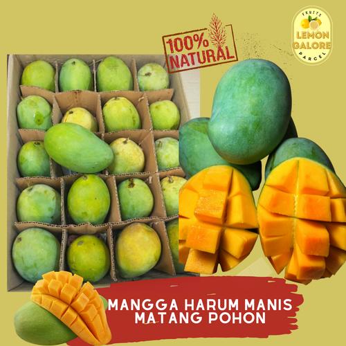 Jual 1 DUS MANGGA HARUM MANIS MATANG POHON/FRESH MANGO SUPER ISI 10 KG ...