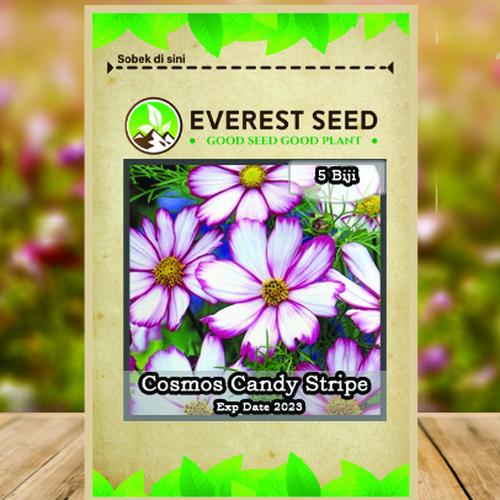 Jual Isi 5 Benih Biji Bunga Cosmos Candy Stripe Everest Seed - Kota ...