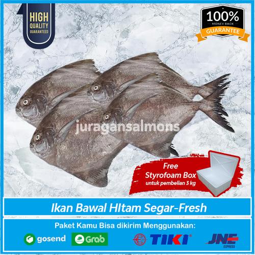 Jual Bawal HItam Laut Segar / Fresh / Black Pomfret 1 kg isi 2-4 ekor ...
