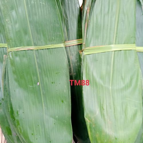 Jual DAUN BAMBU/DAUN BACANG KUALITAS PREMIUM - Jakarta Barat ...