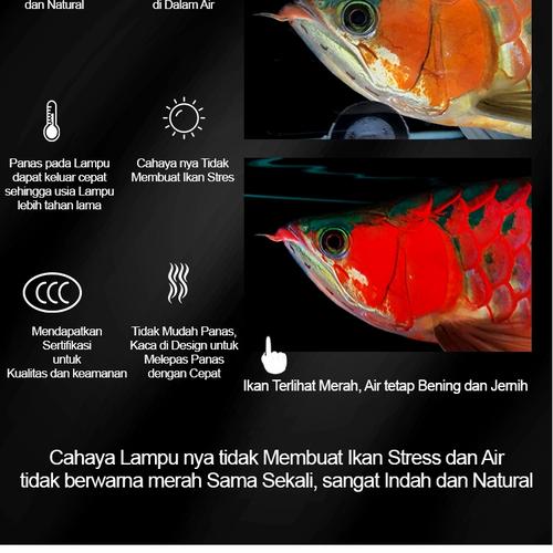 Jual Mayin view plus super colour - 112 Cm, Packing PVC - Kota Bogor ...