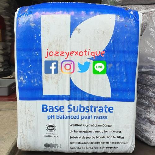 Jual Terlaris Media Tanam Peat Moss Klasmann Base Substrate Ph Balance - - Kota Surabaya ...