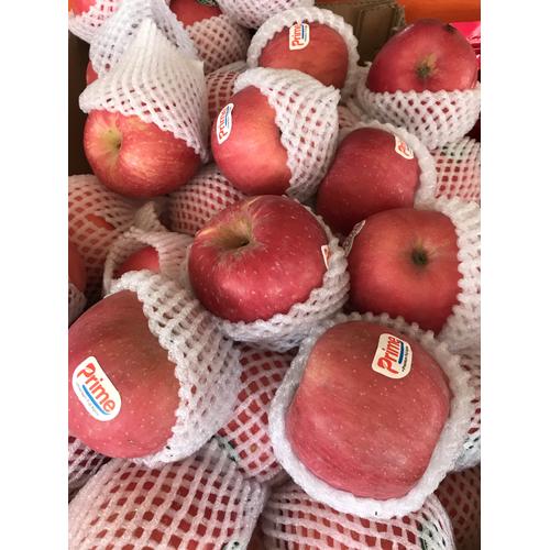 Jual apel fuji premium - Kota Semarang - Toko_Buah_Qinanty_2 | Tokopedia