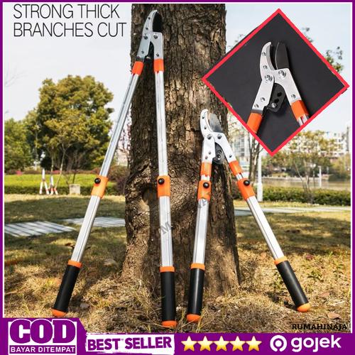 Jual Gunting Pohon Dahan Ranting Taman Telescopic Gagang Panjang Tinggi ...