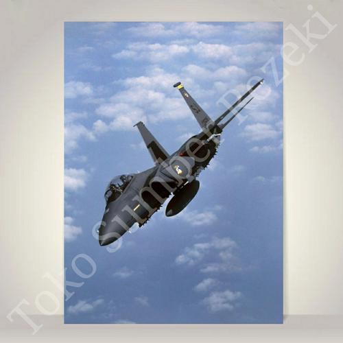 Jual Poster Hawk Eye Pesawat Jet Tempur Hitam Paper Kanvas Plane War ...