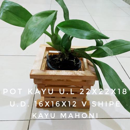 Jual Pot Kayu Duduk V Shipe 22x22x18 cm/Pot Anggrek/ Pot Tanaman Hias ...