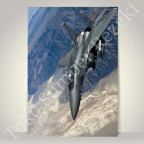 Jual Poster Strike F15E Eagle Pesawat Jet Tempur Paper Kanvas Plane War - Jakarta Utara - Toko ...