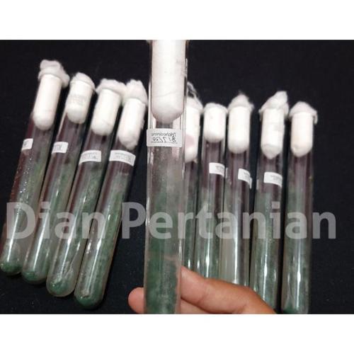 Jual ISOLAT TRICHODERMA HARZIANUM - Jakarta Pusat - MAJU BERKAHH TERUS ...