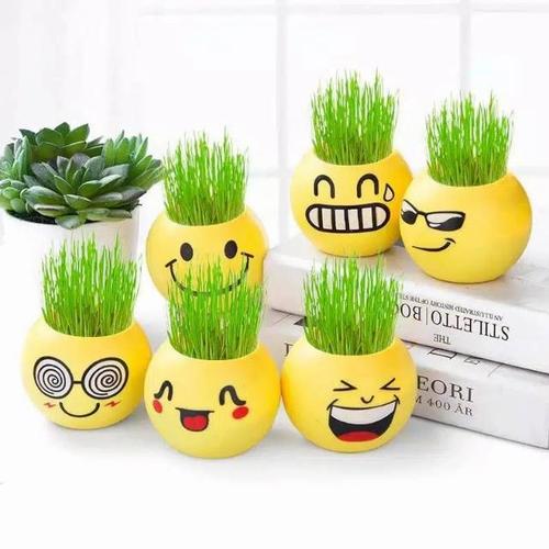 Jual Pot bunga emoticon tumbuh rambut - Emoticon sweat - Kab. Mojokerto ...