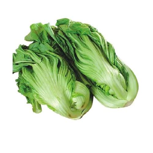 Jual Benih Bibit Sawi Pahit Repack Head Mustard Sawi Asin - Jakarta ...