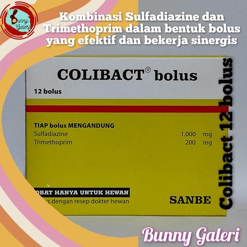 Jual Antibiotika Bolus COLIBACT BOLUS isi 12 Bolus - 12 BOLUS - Kab ...