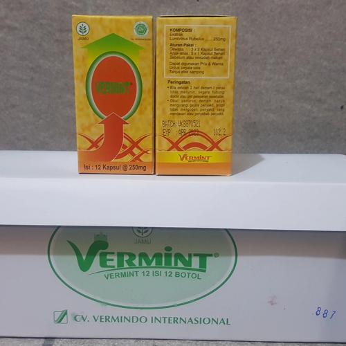 Jual Vermint 12 Kapsul | Obat demam, tipes, penambah trombosit - Kab ...