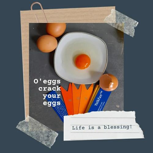 Jual Telur omega 3 Isi 10 butir/pack Fresh, Free salmonela, Free ...