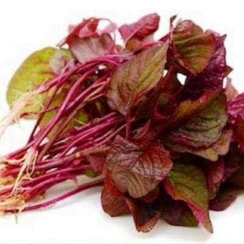 Jual Sayur Daun Bayam Bayem ikat - Bayam Ungu/Mera, 1 ikat - Kota Depok ...