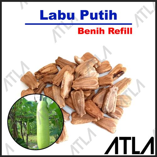 Jual Benih Labu Putih Panjang Bibit Tanaman Biji Buah Sayur Seed Refill ...