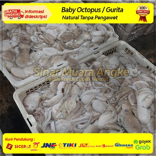 Jual Baby Gurita Frozen Beku / Octopus / Tako Frozen Kemasan 500 gr ...