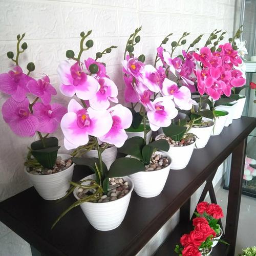 Jual bunga anggrek latex premium artificial - Jakarta Timur - Jovinka ...