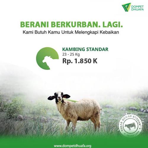 Jual Dompet Dhuafa - Kurban Kambing Standar 23 - 28 Kg Waffa258 - Jakarta Timur - waffa258olshop ...