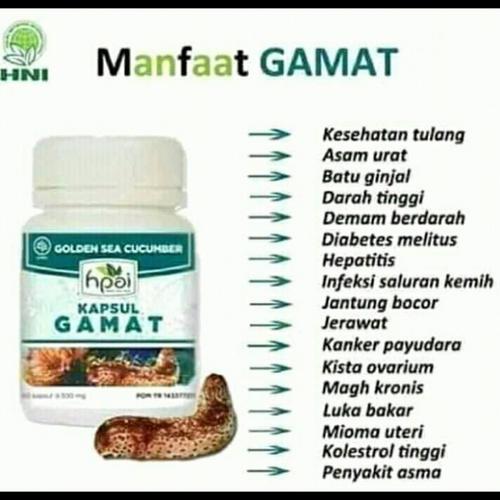 Jual GAMAT KAPSUL HNI HPAI || Meredakan nyeri sendi - Jakarta Timur ...