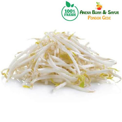 Jual Toge Besar Segar 1kg - Kota Bekasi - Aneka Buah & Sayur Pondok ...