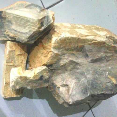 Jual batu fosil kayu aquascape - Jakarta Timur - Hafiz Barokah ...