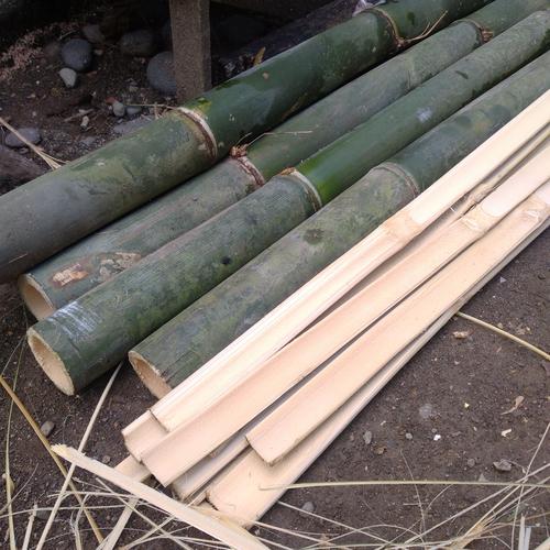 Jual bambu belah 1 pcs 100 cm - Kab. Pangandaran - Lagoona Fresh ...