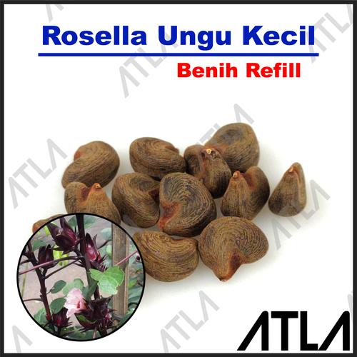 Jual Benih Bunga Rosella Ungu Kecil Bibit Teh Biji Tanaman Roselle ...