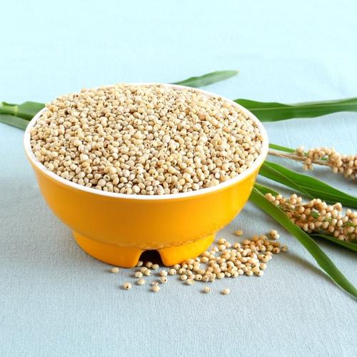 Jual Beras Putih Shorgum 500gram / Beras Sorghum / Sorgum - Jakarta ...
