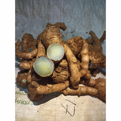 Jual Temu Ireng Temu Hitam Temu super Temu Hitam Segar Per1kg - Kab ...