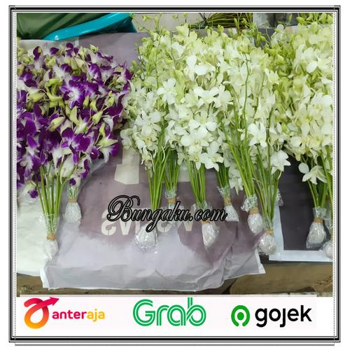 Jual bunga anggrek dendrobium Sonia ungu or putih asli / bunga potong ...