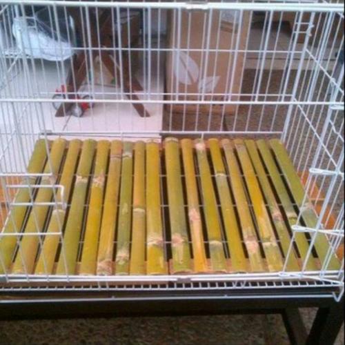 Jual Bilah bambu tebal 100cm - Kab. Bogor - LestariHijau | Tokopedia