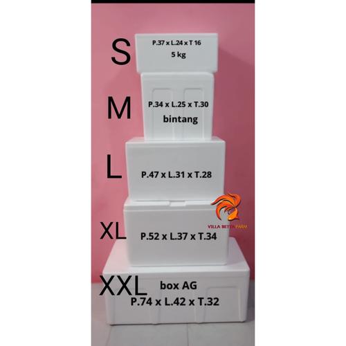 Jual Box Styrofoam murah tebal / Box Sterofoam Besar /Gabus Styrofoam ...