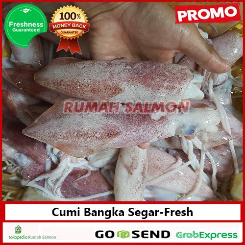 Jual CUMI BANGKA SEGAR - FRESH BANGKA SQUID/ CUMI FRESH 1kg 4-6 ekor ...