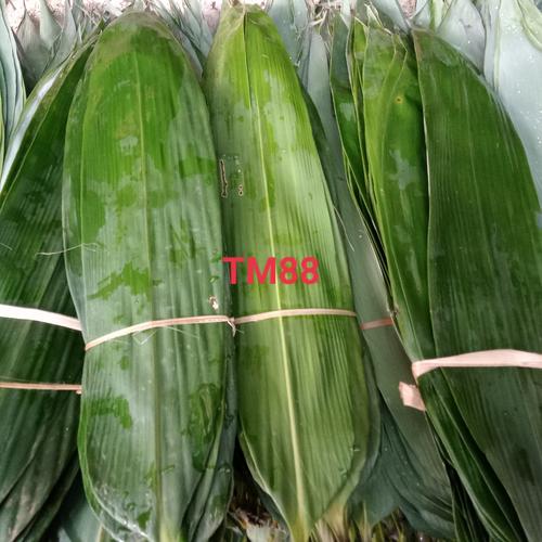 Jual DAUN BAMBU/DAUN BACANG/DAUN BAKCANG - Jakarta Barat - tunasmart88 ...