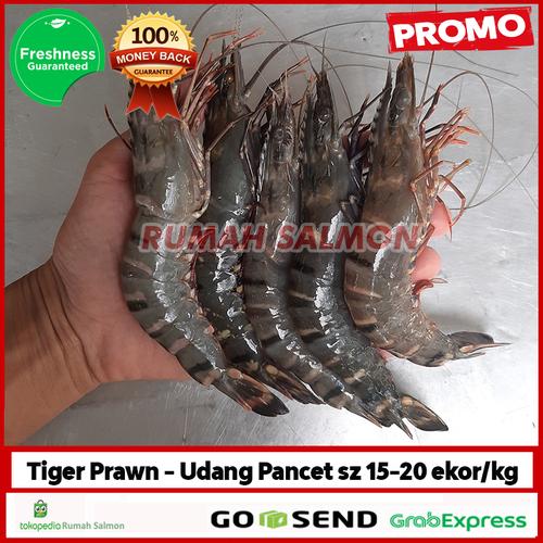 Jual Udang Tiger Pancet Jumbo Size 15-20 /Udang Windu Besar Segar-Fresh ...