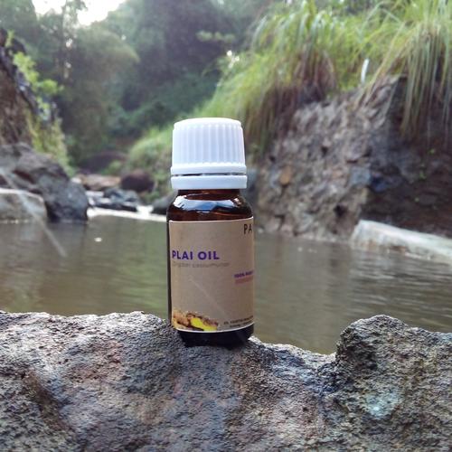 Jual 10 ml sampel - minyak bangle -panglai / plai oil (Zingiber ...