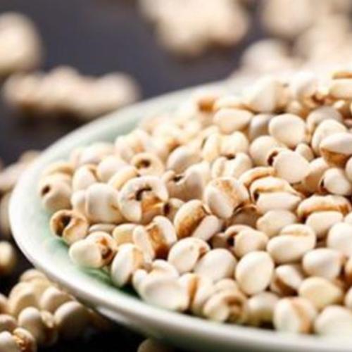 Jual Jali Jali Super Biji Besar 500g Pearl Barley Jelai Hanjeli Barli ...