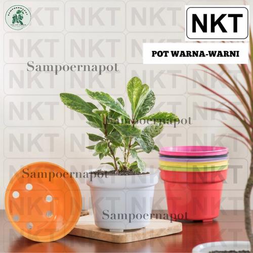 Jual pot bunga tanaman warna warni 20cm - nkt - Hitam - Kota Tangerang ...