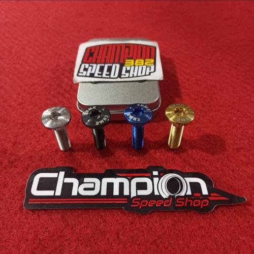 Jual Baut Piringan Cakram Depan Belakang Titanium WR3 ER6N ER6F Vulcan 650 - Kota Bandung ...